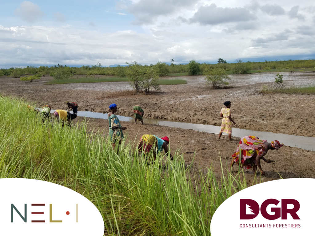 LINGUIRA - Ingénieurs Sans Frontières Québec